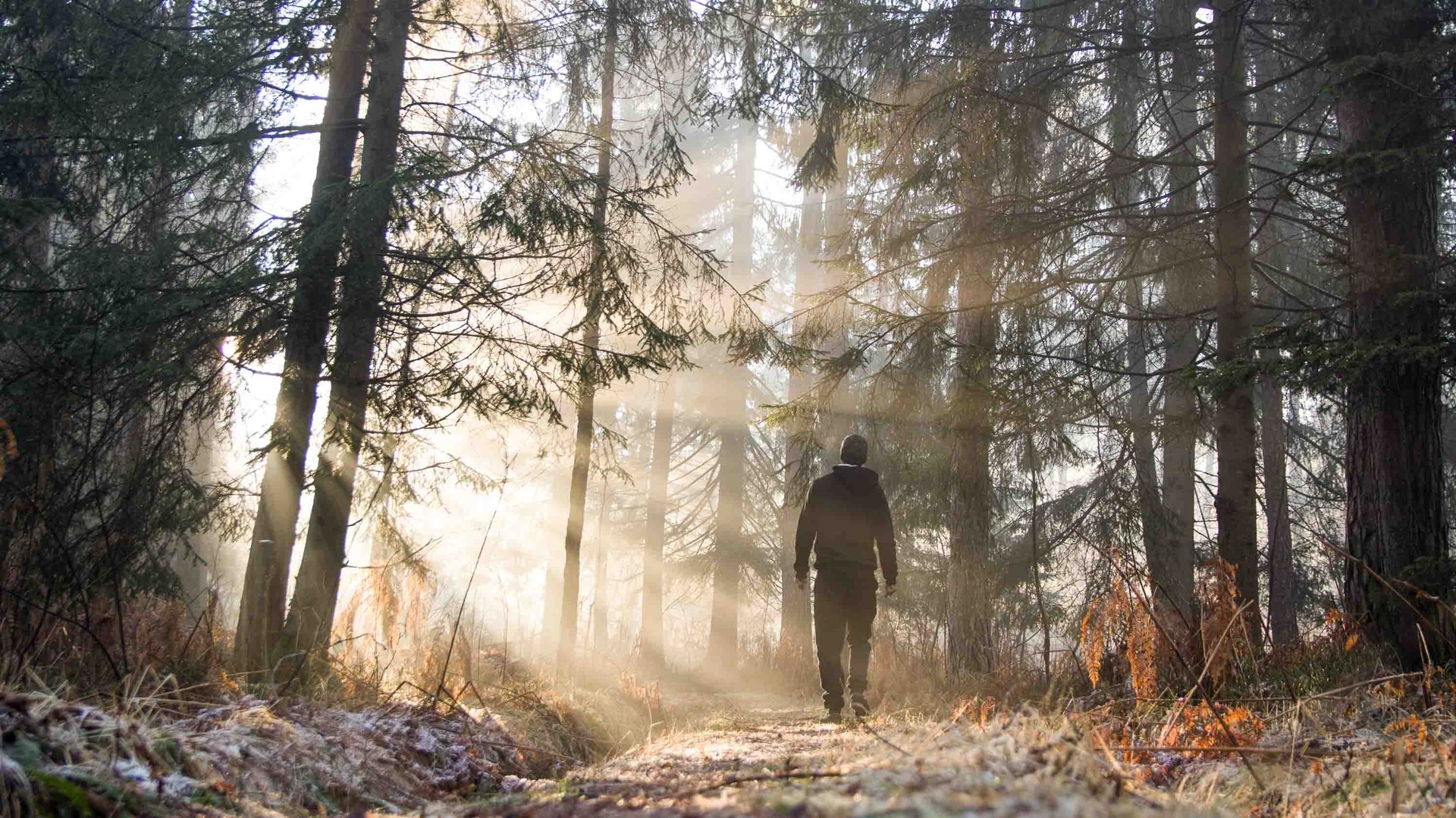 If You Do These 8 Things Before 9 AM, You’re More Disciplined Than Most ...