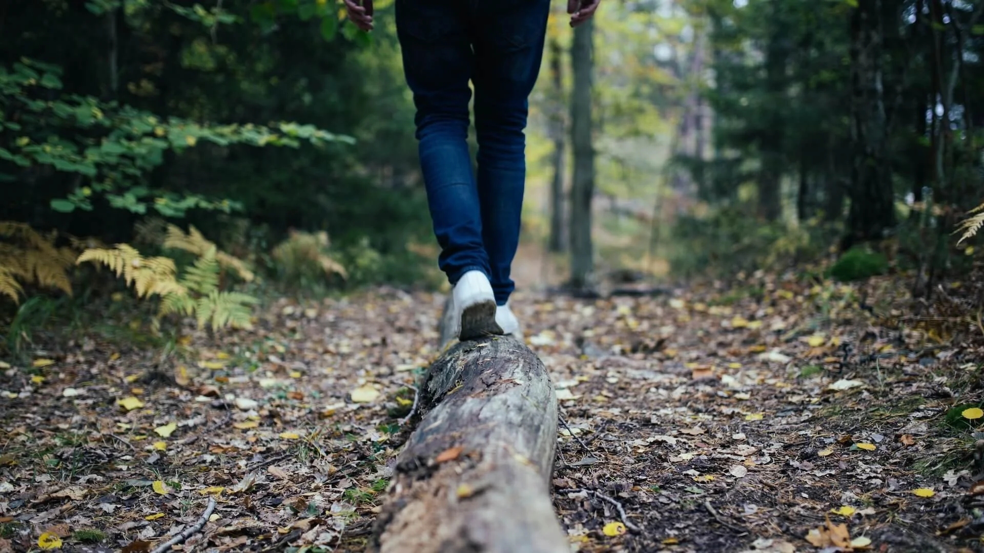 10 Ways to Get More From Your Daily Walk